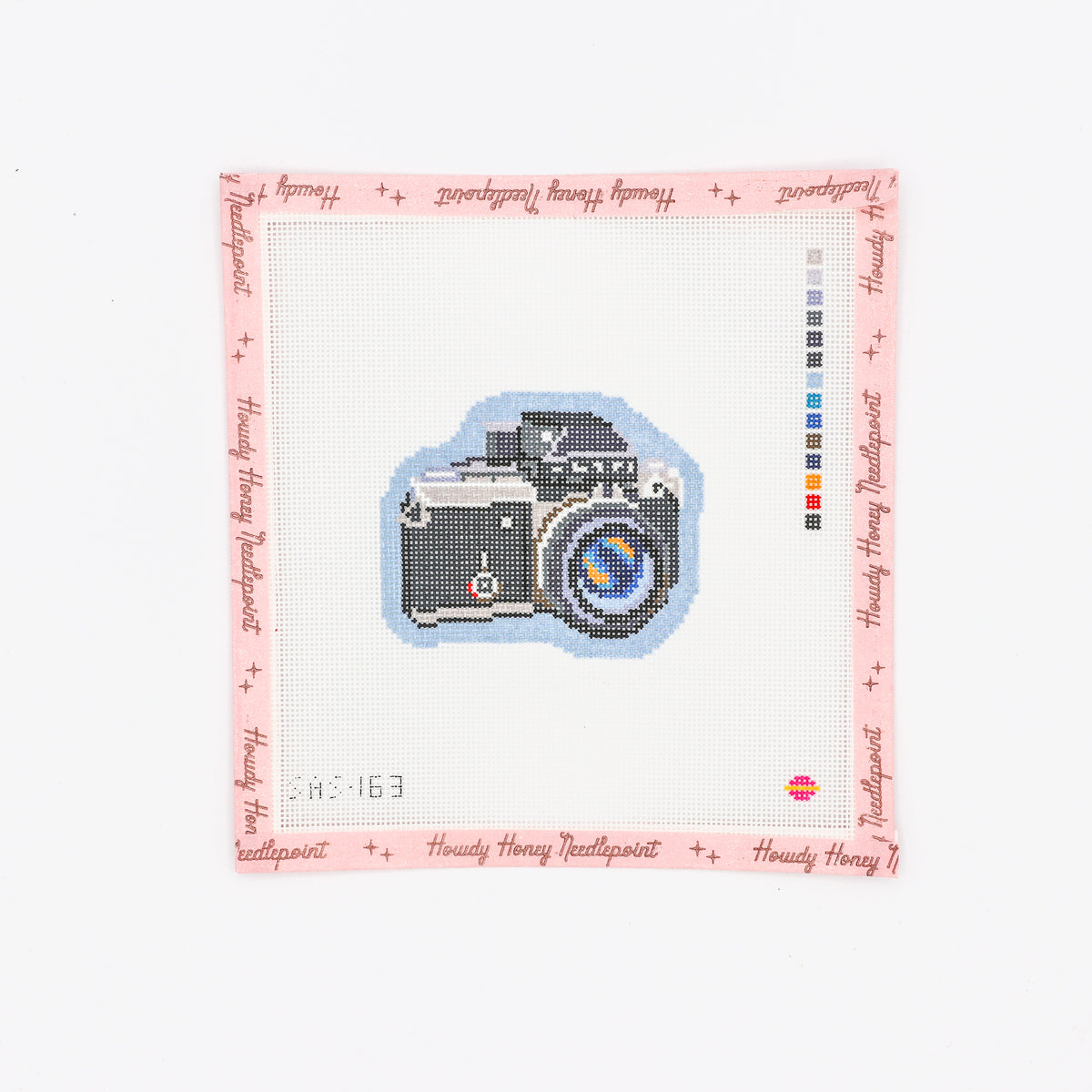 SLR Camera – Howdy Honey Needlepoint